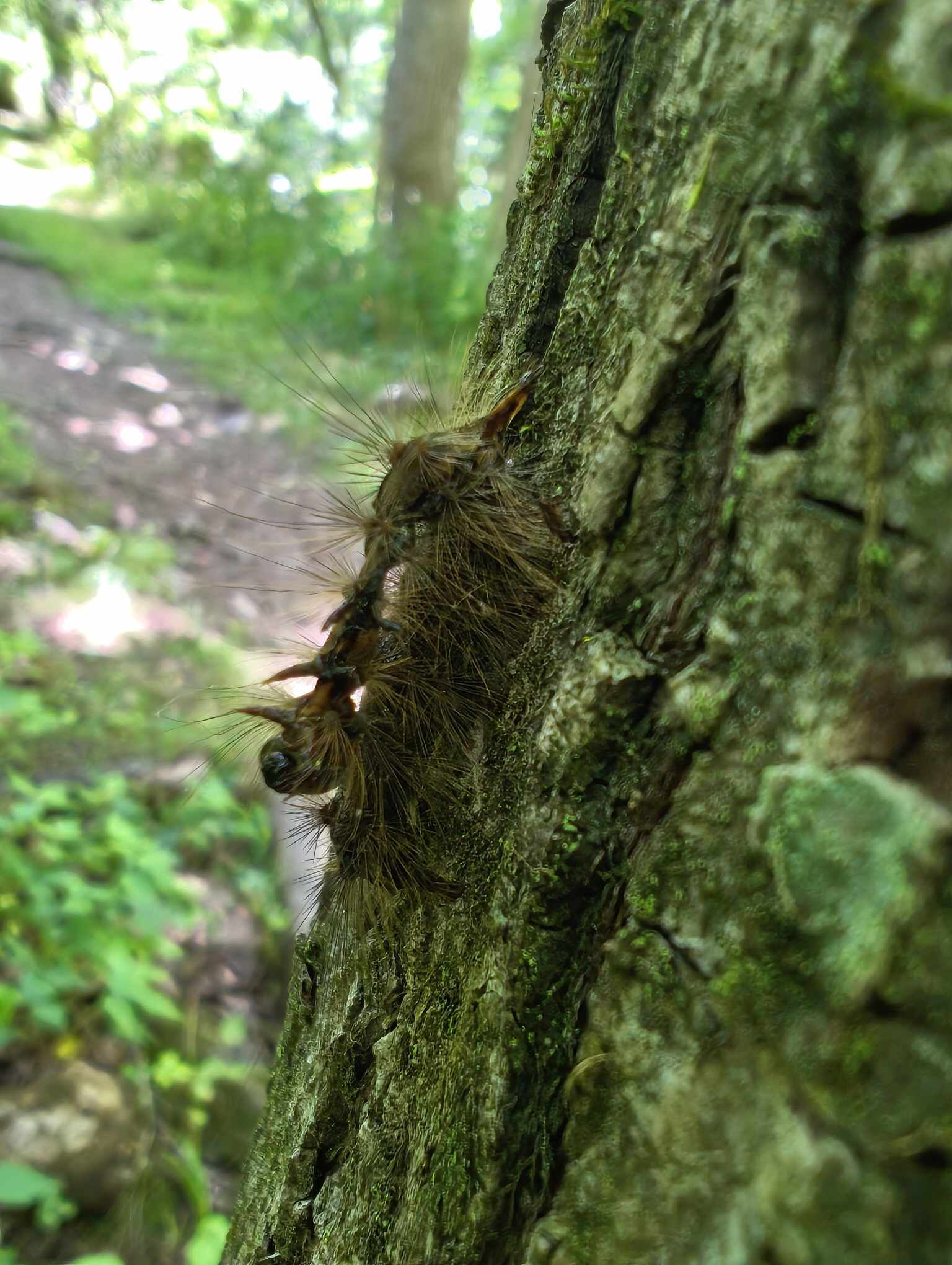 Life after PhD – INSECT DOCTORS